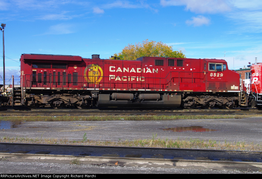 CP 8529